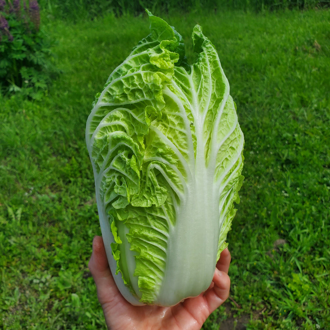 Nature Delivered